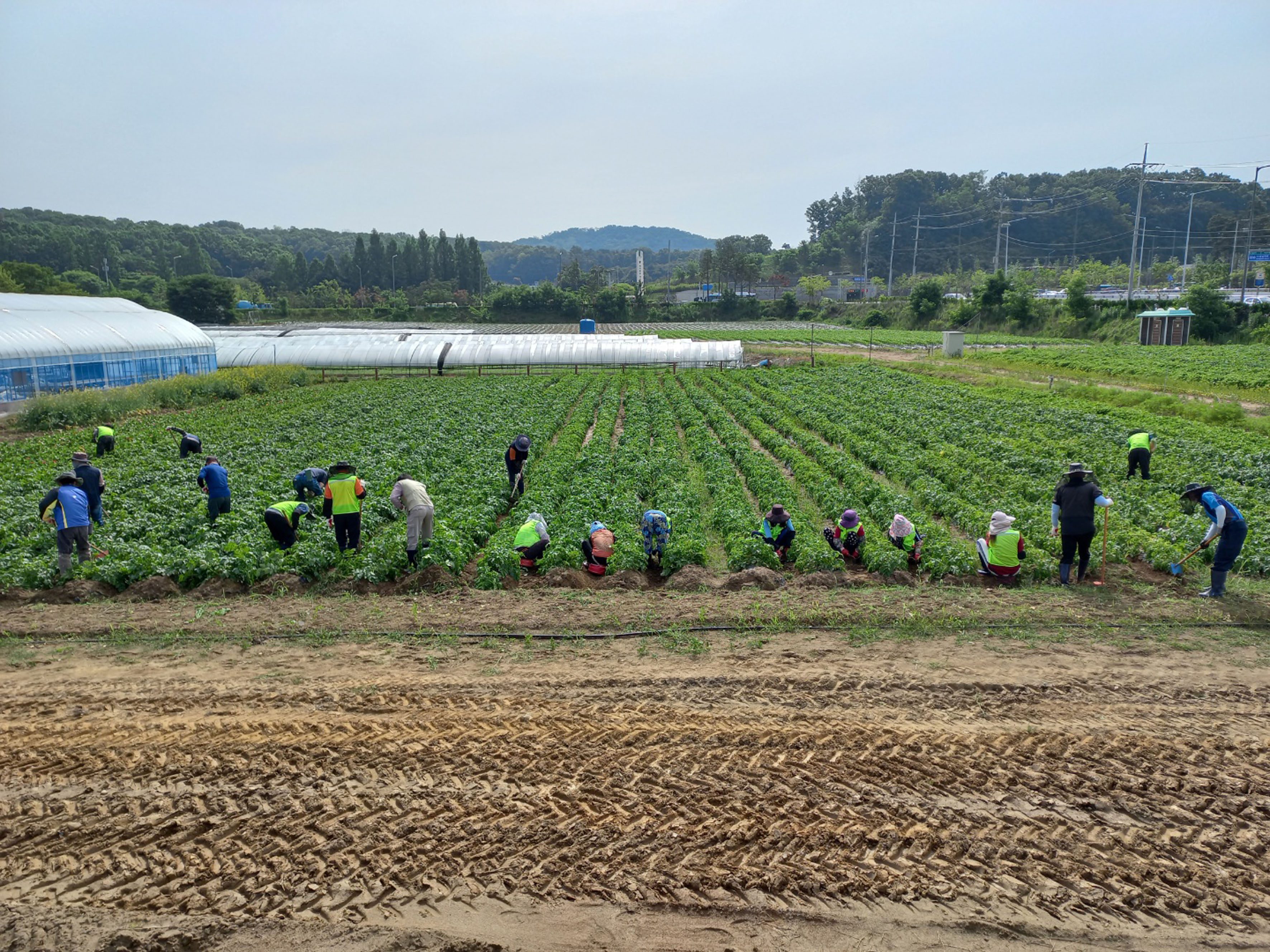 성남시 올해 지역공동체 일자리 참여 규모 344명